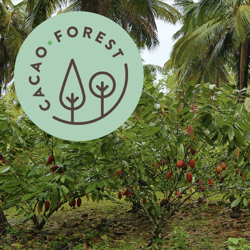 CERTIFICATION: 1% FOR THE PLANET
